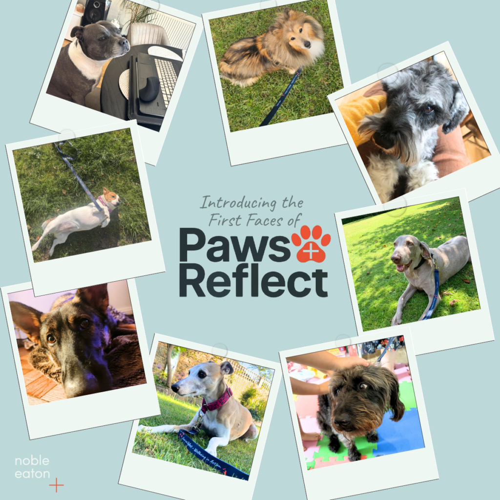 Paws + Reflect - Noble+Eaton
